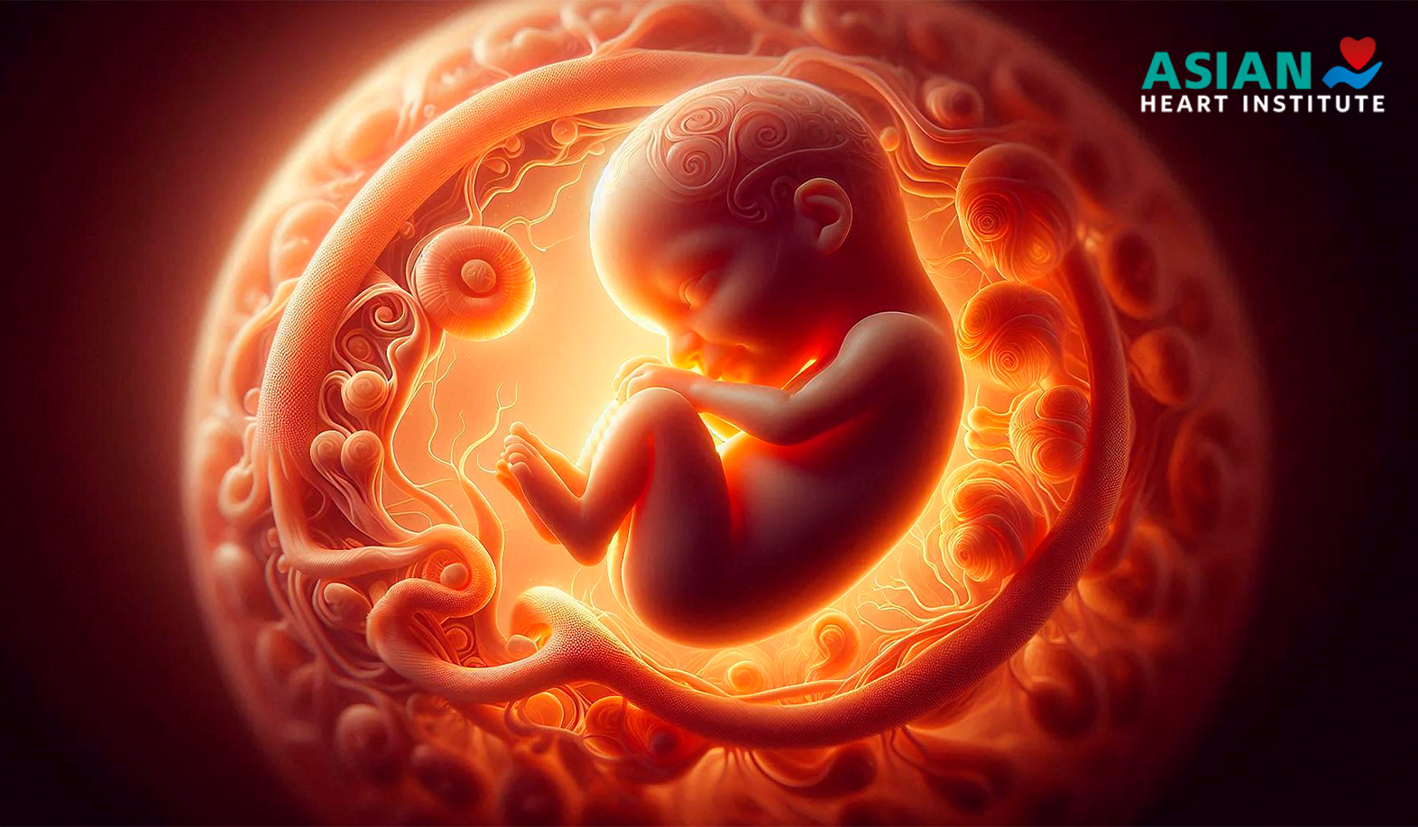 Understanding Fetal Development & Hearing Heartbeat - AHI